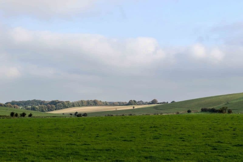 Top Things to Do & Places to Visit in the North Wessex Downs